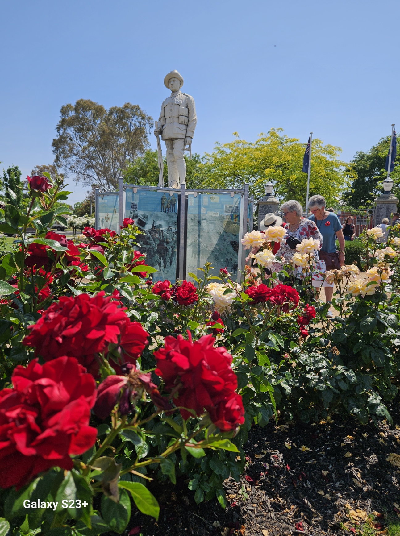 REUNION 2023 SEYMOUR | 87transportplatoon